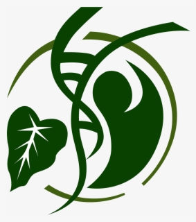 Health Logos Without Background , Free Transparent Clipart - ClipartKey