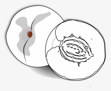 Free Peach Black And White Clip Art with No Background - ClipartKey