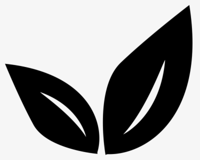 Svg Png Icon Free - Sapling Svg , Free Transparent Clipart - ClipartKey