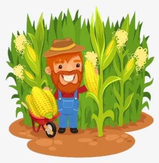 Free Corn Field Clip Art with No Background - ClipartKey