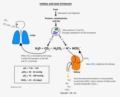Sulfuric Acid Lewis Dot Diagram Clipart , Png Download - H2so3 ...