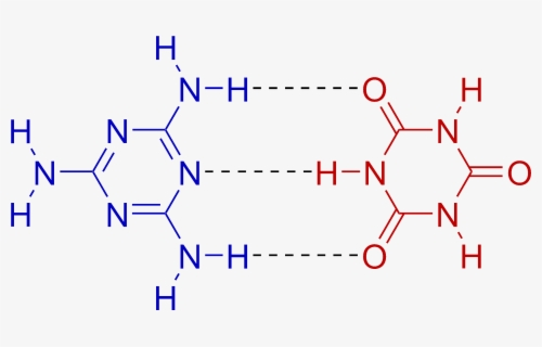 Hydrogen Bond - Hydrogen Bonding , Free Transparent Clipart - ClipartKey