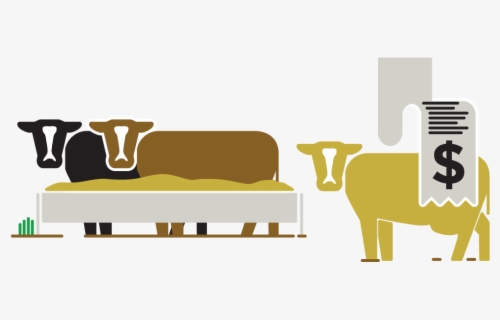 Cows Being Sold - Table , Free Transparent Clipart - ClipartKey