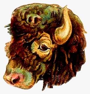 Buffalo Clipart Tribal - American Bison , Free Transparent Clipart ...