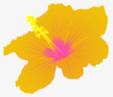 Hibiscus Flower Tropical Floral Png Image - Hibiscus Clip Art , Free ...