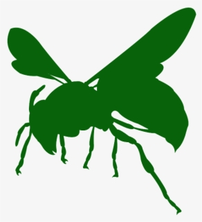 Hornet Vector Clip Art - Green Hornet Clipart , Free Transparent ...