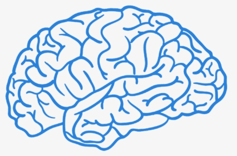 Brain Clipart Boy - Kids Personality Development Png , Free Transparent ...