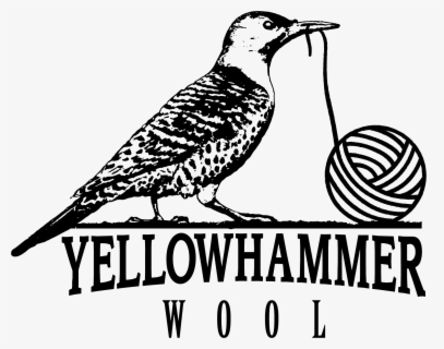 Piciformes , Free Transparent Clipart - ClipartKey