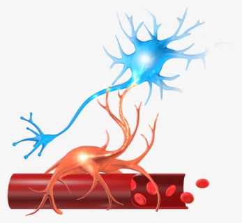 Concussions - Illustration , Free Transparent Clipart - ClipartKey