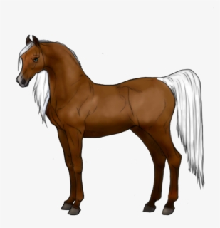 Sso Skeleton Horse , Free Transparent Clipart - ClipartKey
