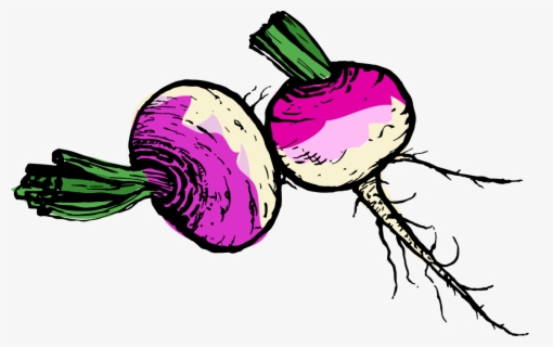 Download Transparent Turnip Png - Pixel Art - ClipartKey