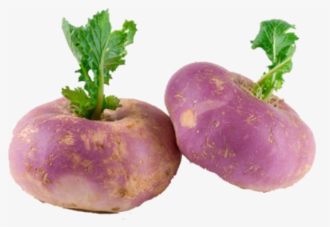 Transparent Turnip Png - Turnips Png , Free Transparent Clipart ...