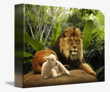 Free Lion And Lamb Clip Art with No Background - ClipartKey