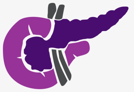 Download Clip Art Pancreas Cartoon - Transparent Background Pancreas ...