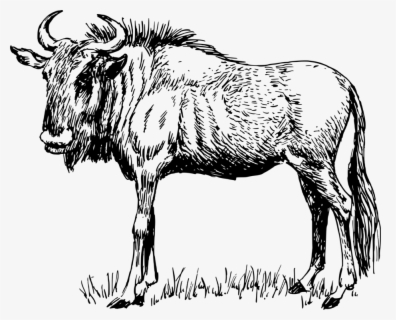 Cow Clipart Clker - Cartoon Gnu , Free Transparent Clipart - ClipartKey