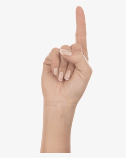 Handful Png - One Handful Nuts , Free Transparent Clipart - ClipartKey