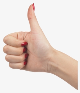 One Hand Png Image - Hand Finger Png , Free Transparent Clipart ...