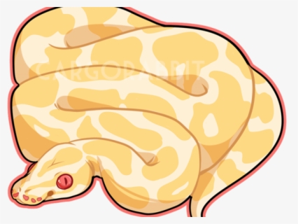Some Cute Little Ball Pythons available On Redbubble - Cute Ball Python Drawing , Free ...