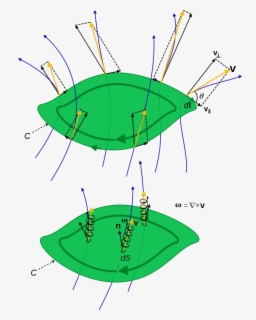 Vector Curve Flow - Circulation Fluid Mechanics , Free Transparent ...