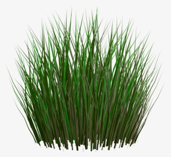 Download New Textures Billboard Grass - Grass Texture Unity Png ...