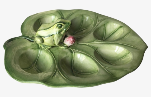 Toad Clipart Katak - Draw A Spadefoot Toad , Free Transparent Clipart ...