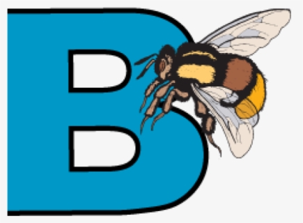 Free Abc Clip Art with No Background - ClipartKey