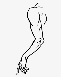 Free Arm Clip Art with No Background - ClipartKey