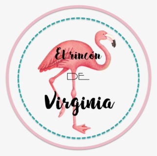 Python Matplotlib Plot Sphere , Free Transparent Clipart - ClipartKey