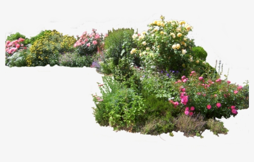 Transparent Background Flower Garden Png , Transparent - Garden Flowers ...