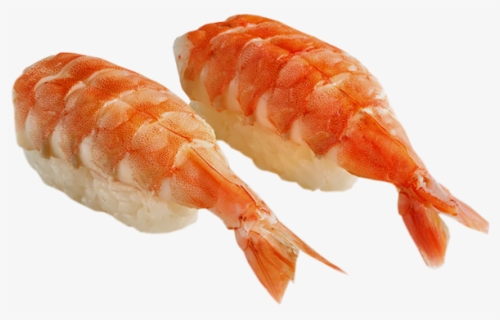 Transparent Krill Clipart - Shrimp Sushi Clip Art , Free Transparent ...