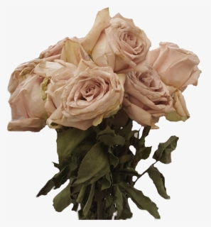 Dead Flower Png - Dead Flowers , Free Transparent Clipart - ClipartKey