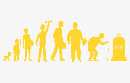 Clip Art Evolution Why Does The - Life Cycle Earwig , Free Transparent ...