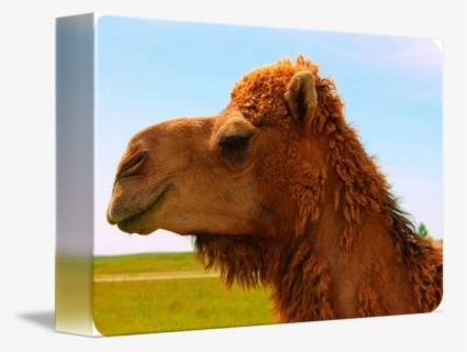 Breakfast Cereal Reese"s Puffs Spit-take Spitting - Meme Spitting Out ...