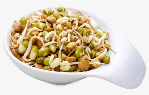 Seed Clipart Magic Bean - Magic Beans Clipart , Free Transparent ...