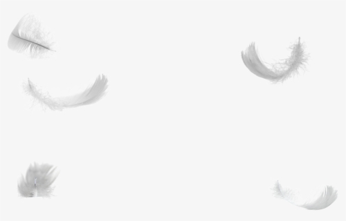 Falling Angel Feathers Png - Angel Feather Transparent Background ...