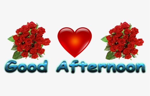 Good Afternoon Png Picture - Floribunda , Free Transparent Clipart ...