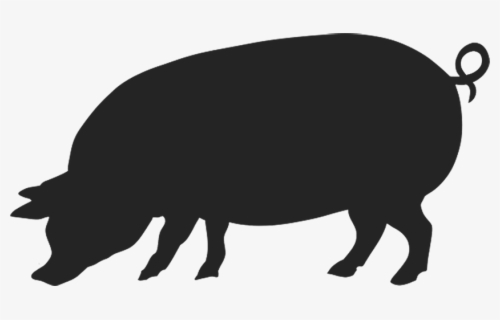 Pig Clipart Butcher - Cuts Of Pork Png , Free Transparent Clipart ...