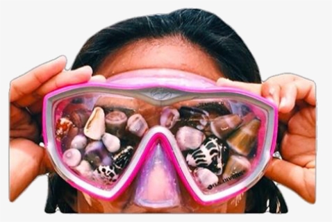 Beach Shells Transparent , Free Transparent Clipart - ClipartKey