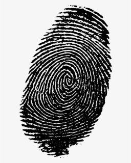 Finger Print Png - Transparent Background Fingerprint Logo , Free ...