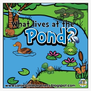 Lives In A Pond , Free Transparent Clipart - ClipartKey