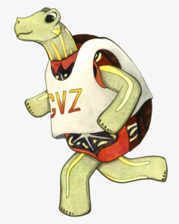 Greater Vancouver Zoo Turtle Dash Race - Cartoon , Free Transparent ...
