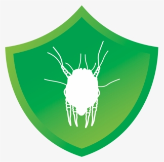Shield Fleas - Flea App Symbol , Free Transparent Clipart - ClipartKey