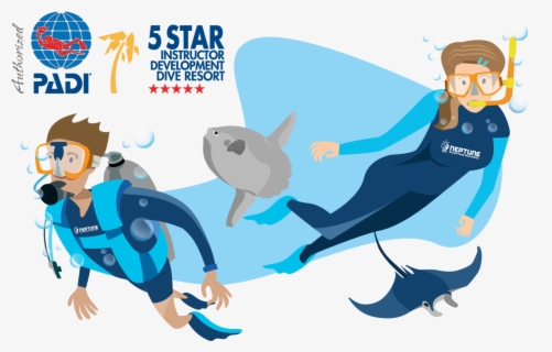 Padi Logo Png Transparent & Svg Vector - Padi Mexico Png , Free ...