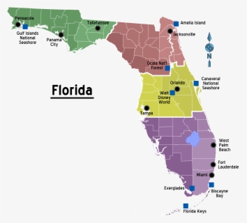 Coverage Area - Florida Map Vector , Free Transparent Clipart - ClipartKey