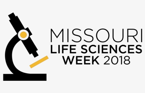 Vector Laboratory Life Sciences , Free Transparent Clipart - ClipartKey