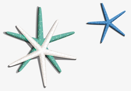 Transparent Sea Star Png - Starfish , Free Transparent Clipart - ClipartKey