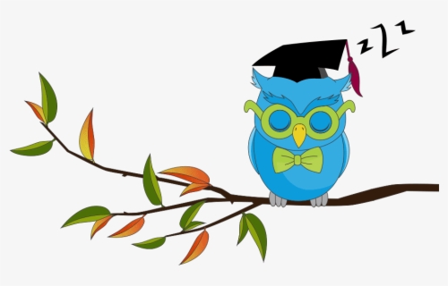 Animation Reading Book Gif , Free Transparent Clipart - ClipartKey