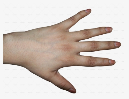Free Human Hand Clip Art with No Background - ClipartKey