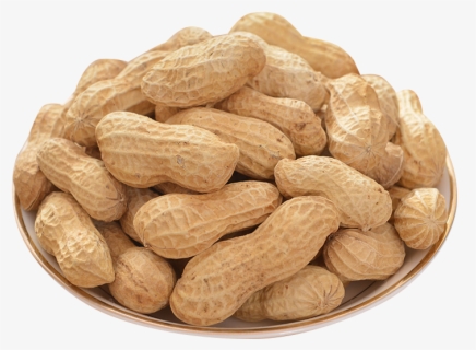 Free Peanut Clip Art with No Background - ClipartKey