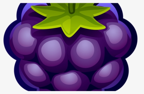 Raspberry & Blueberry , Free Transparent Clipart - ClipartKey